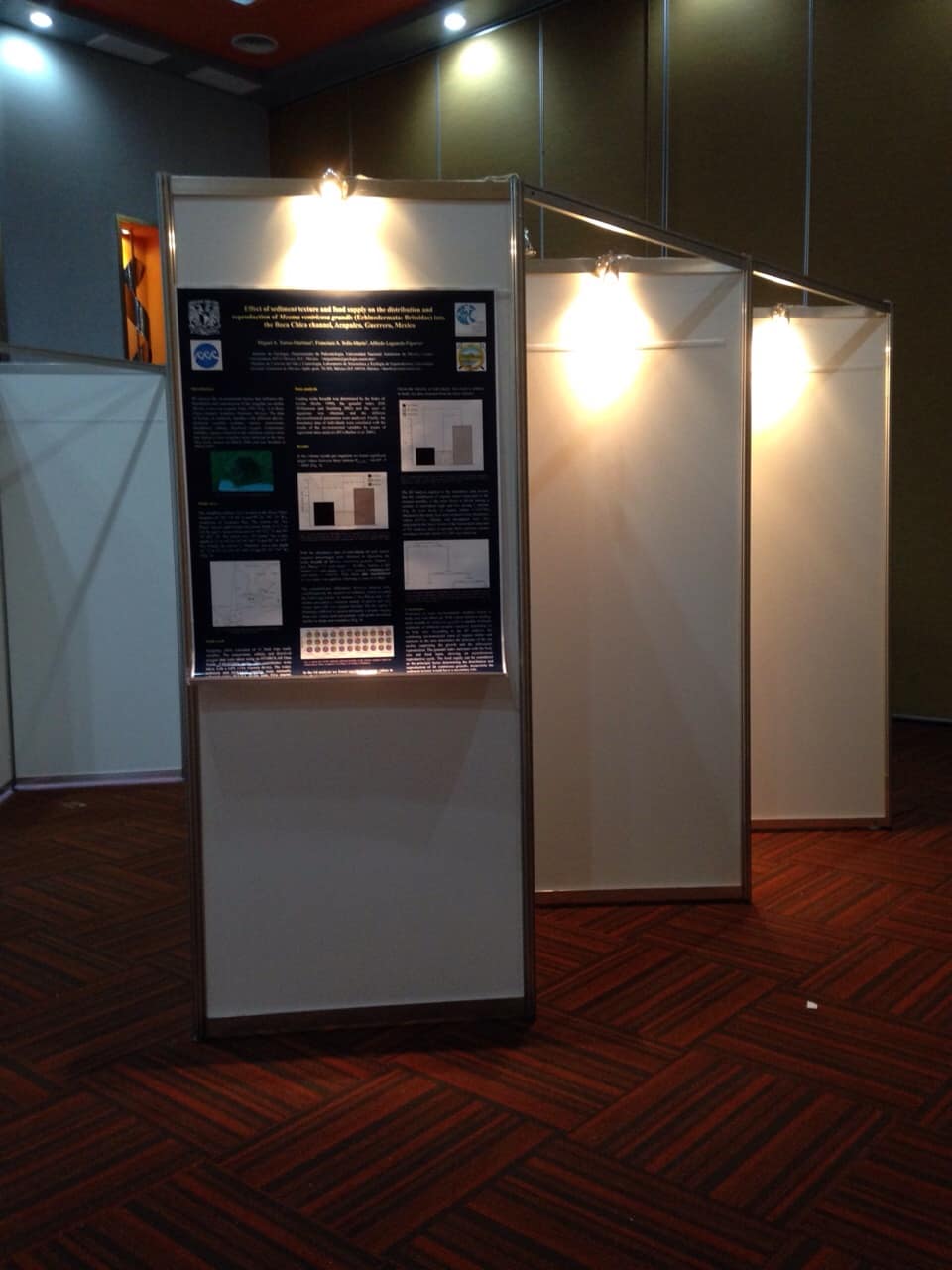 Montaje Poster Boards -Hotel Riu Tequila-Riviera Maya.